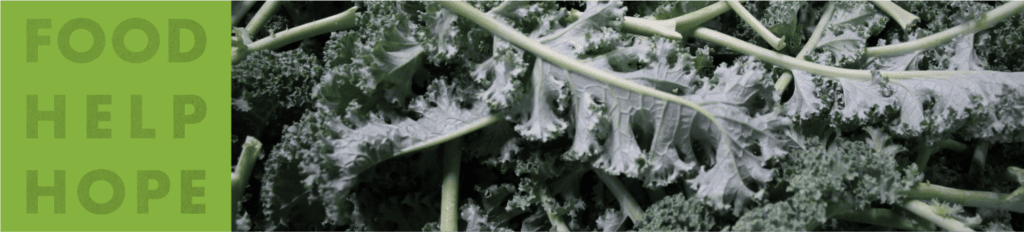 Grant Information - CFBNJ