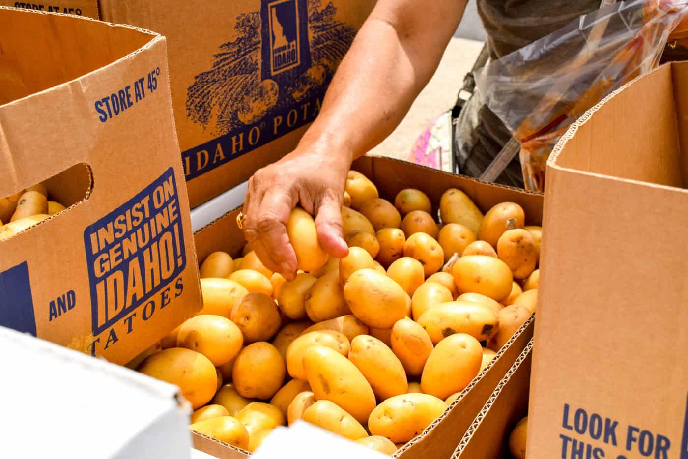 Produce And Protein Increase Neighbor Wellness - CFBNJ